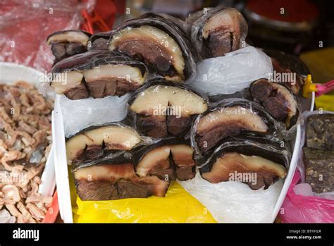 Can Muslims Eat Dolphin Meat Can You Give Me A List Of Animals That