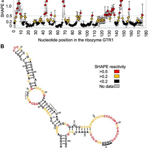 Secondary Structure Analysis Of The Ribozyme Gtr1 A Shape Reactivity