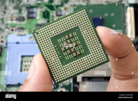 Central Processing Unit CPU In Human Hand Stock Photo Alamy