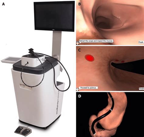 The Surgical Science Endosim Simulation Module A Endoscopy Stack B