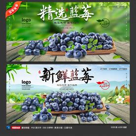 蓝莓图片大全 蓝莓设计素材 蓝莓模板下载 蓝莓图库 昵图网 soso nipic