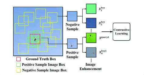 Image Preprocessing And Feature Extraction For The Positive And Download Scientific Diagram