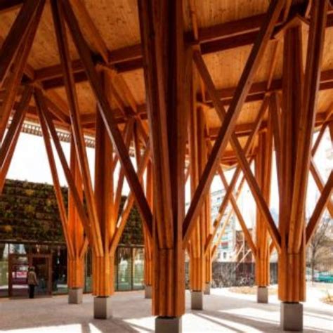 Tree Inspired Column Wood Architecture Like A Forest Timber