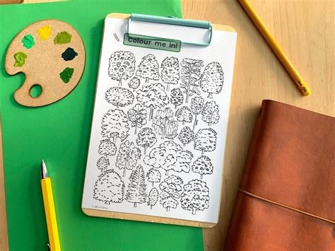 Trees Species Colouring In Sheet Educational Tree Printable Etsy