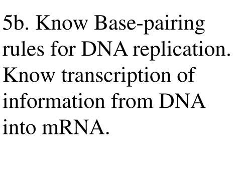 PPT Chapter 12 DNA And RNA 21 Base Pairing Rules PowerPoint Presentation ID 9155173