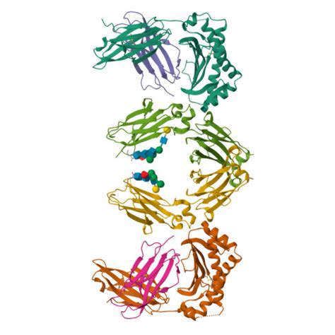Rcsb Pdb 7q15 Crystal Structure Of Fcrn And Beta 2 Microglobulin In