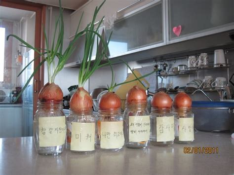 말의 힘 네이버 블로그