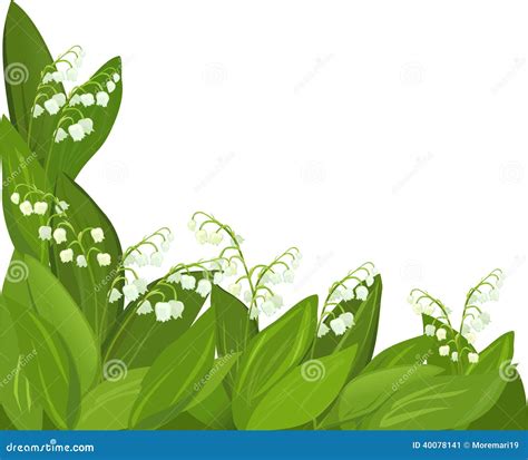 Background Flower Lily Of The Valley Stock Vector Image