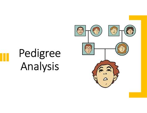 Pedigree Analysis Pedigree Analysis Pedigree Reveals Patterns Of