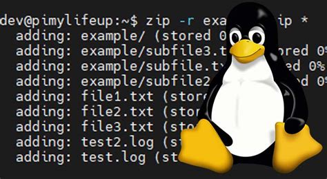 How To Use The Zip Command Pi My Life Up