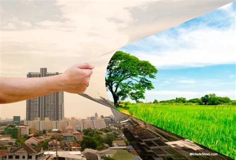 ¿qué Es La Ecología Y Cuál Es Su Relación Con El Medio Ambiente Sgk