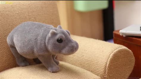 Kevcrexx 🧪 On Twitter Natsbenites1 Gracias Bro Mkqasmna9i Twitter