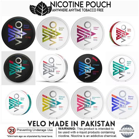 Best Nicotine Pouche Collection In Dubai Uae