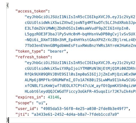Java можно сделать в спринг секьюрити так чтобы помимо информации о токене была и информация