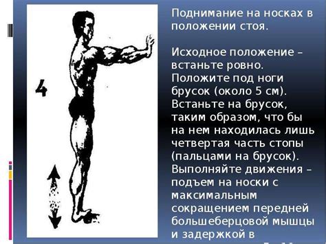 Техника упражнений для развития мышцы голени и икроножных мышц презентация доклад проект скачать