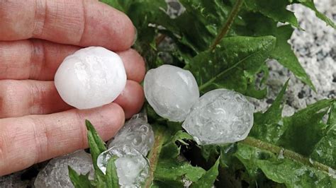 НОВИНИ Dfz Public