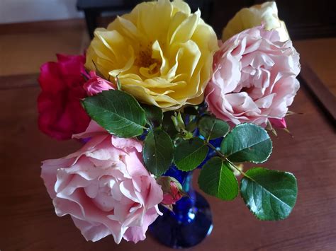 国民健康保険料は、なぜ‟世帯一括で請求”という面倒くさいシステムになっているんだ。 エヌの解放