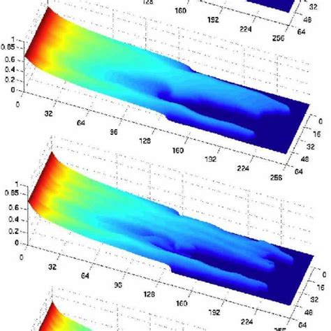 Water Saturation Surface Plots For Two Phase Flow In A Two Dimensional Download Scientific