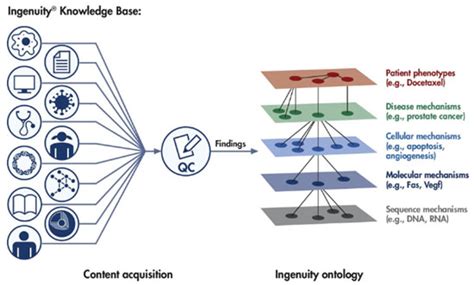 上海伯豪芯片服务送ipa Ingenuity Pathway Analysis 使用积分