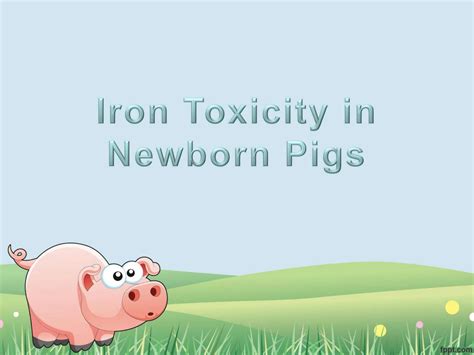 Solution Veterinary Medicine Iron Toxicity In Newborn Pigs Studypool