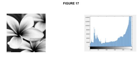 Figure 17figure 18consider The Image And Its