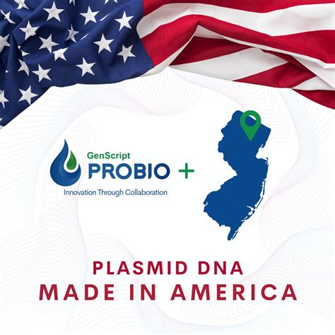 Genscript Probio On Linkedin Pdna Plasmid Cellandgenetherapy