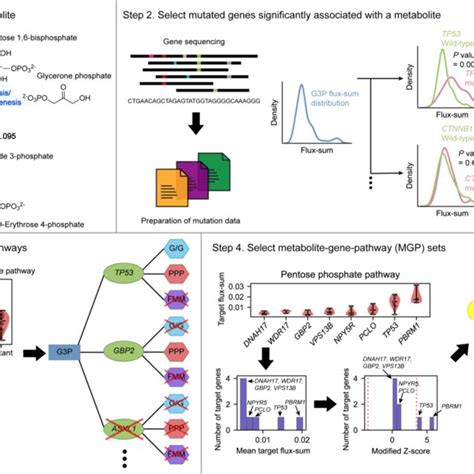Computational Workflow For The Prediction Of Metabolite Gene Pathway