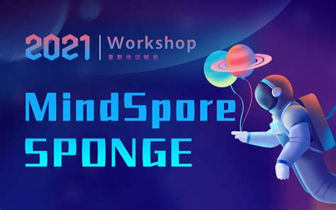 Mindspore Sponge Workshop哔哩哔哩bilibili