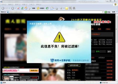 纽约时报 中国打击色情的双重标准