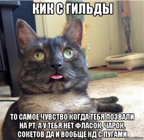 кик с гильды то самое чувство когда тебя позвали на рт а у тебя нет фласок чарок сокетов да и