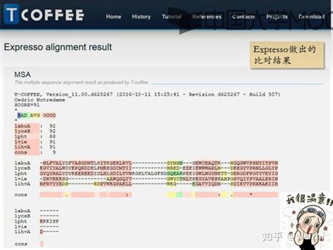 山东大学生物信息学学习笔记5—多序列比对及其工具 知乎