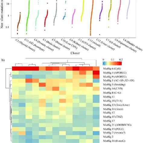 Mutation Analysis Of Ml Clusters A Non Silent Mutation In Each Download Scientific Diagram