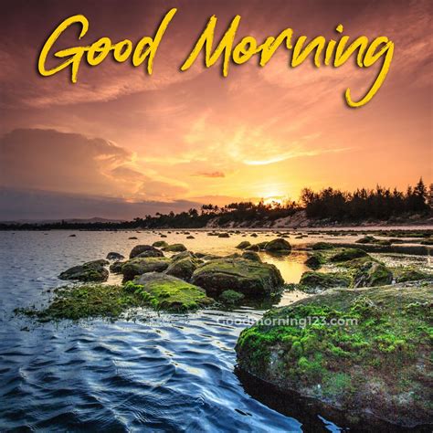 Beautiful Autumn Good Morning Images And Wishes