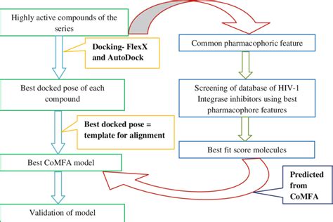 Flowchart For Stepwise Methodology Used For Docking And 3d Qsar