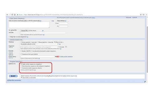 What Are The Possible Reasons Of Having Error In Ncbi Blast Researchgate