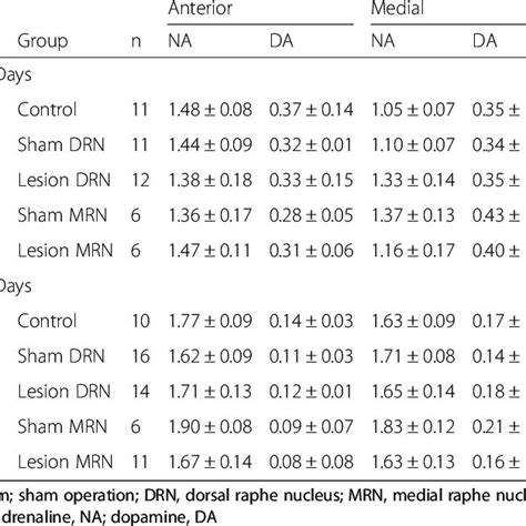 Effects Of Chemical Lesion Of The Drn Or Mrn Raphe Nuclei On Sperm Download Table