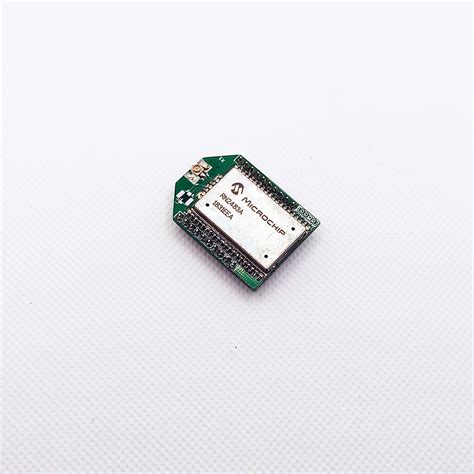 LORA RN BEE IOT Info Control