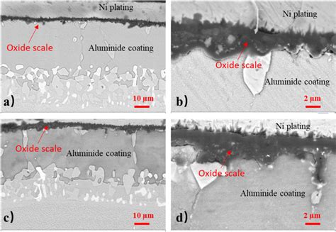 The Cross Section Sem Results Of The Sample Without Any Treatments A
