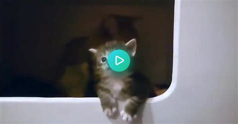 Mom Help Album On Imgur