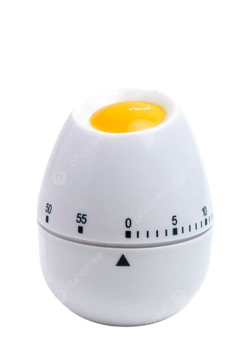 Egg Timer Definition And Uses At Jon Lefebre Blog