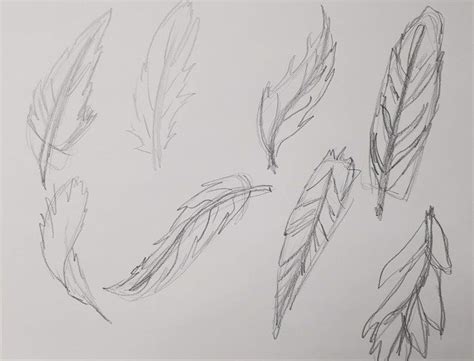 How To Draw A Feather Step By Step