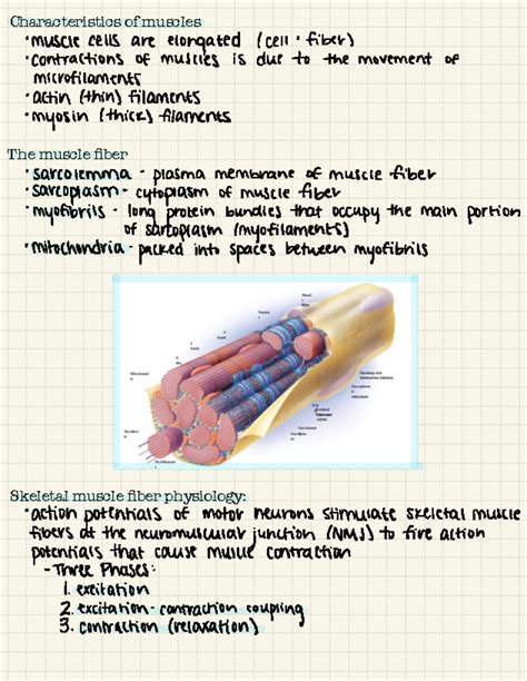 Chapter 910 Deprecated Api Usage The Svg Back End Is No Longer Maintained And May Be Removed