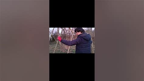 თავშესაფარის აშენება ტყეში⛺🏞️ დაგვაღამდა🌌 გაგრძელება მომდევნო დღეებში