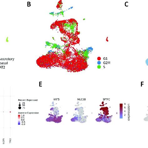 Single Cell RNA Sequencing Displays The Proportion Of Three Different Download Scientific