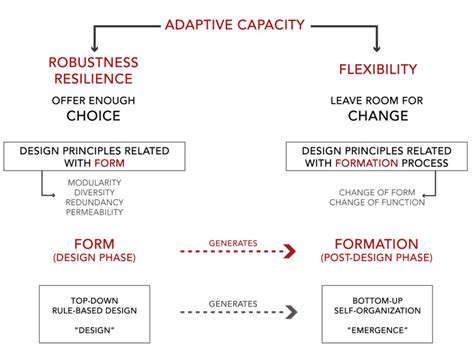 3 Adaptive Capacity As The Synthesis Of Resilience And Flexibility Download Scientific Diagram
