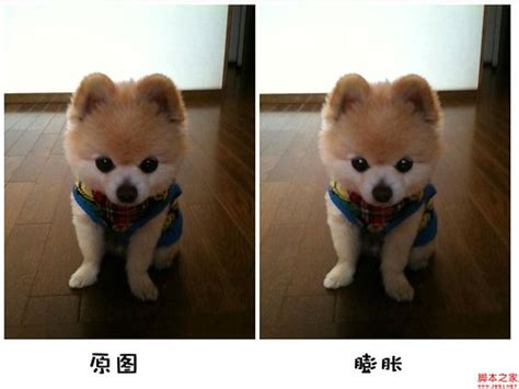 Javascript图像处理―图像形态学膨胀与腐蚀4 Javascript图像处理―图像形态学膨胀与腐蚀4 Flickr