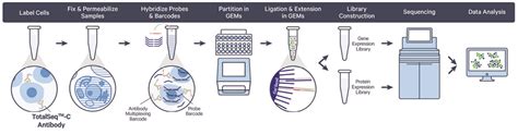 Ngi Sweden 10x Chromium Flex Gene Expression Fixed Rna