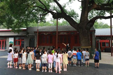 相聚古槐下新学期新起点中山街小学2020级新生入学季 搜狐大视野 搜狐新闻