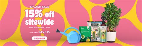 13 Different Types Of Cedar Trees Exploring The Evergreen Charm Of Cedar Ugaoo 13 Different Types Of Cedar Trees Exploring The Evergreen Charm Of Cedar Ugaoo