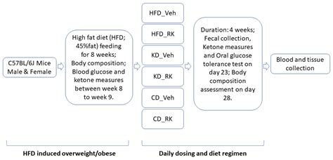 Sex Specific Effects On Total Body Fat Gain With 4 Week Daily Dosing Of Raspberry Ketone [4 4